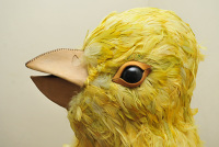 Stop Motion puppets - Katie Williams