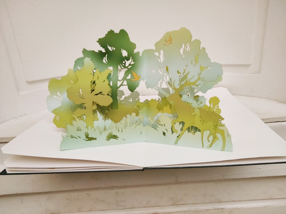 Grand livre pop-up Vivant - Cléo Duplan