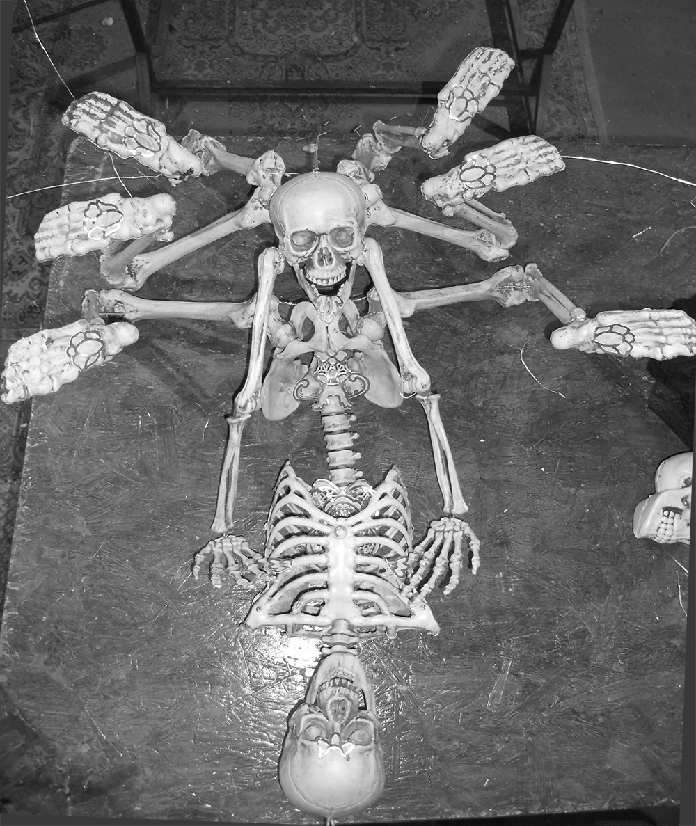 CALACAS - Cléo Duplan