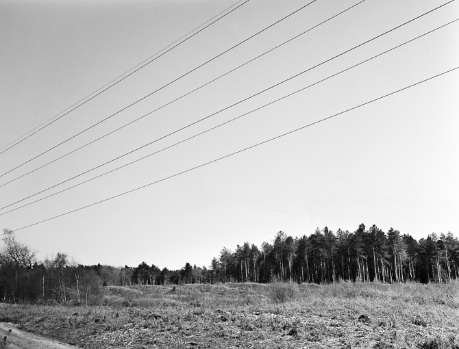 Fritton Woods - Joshua Parrott