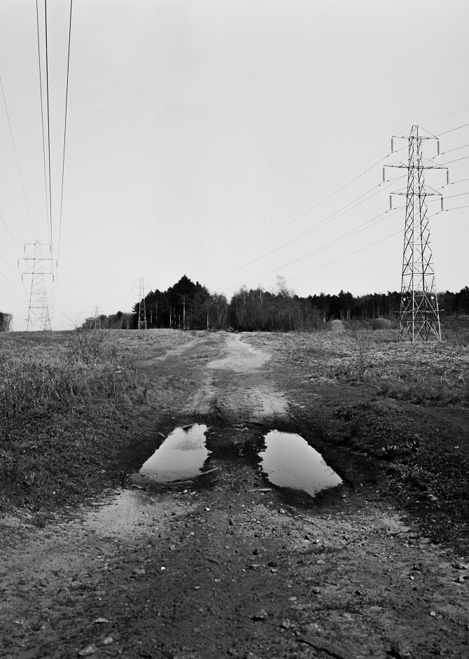 Fritton Woods - Joshua Parrott