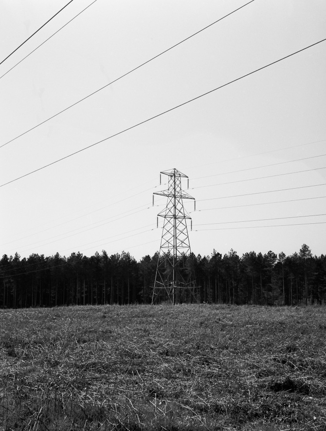 Fritton Woods - Joshua Parrott