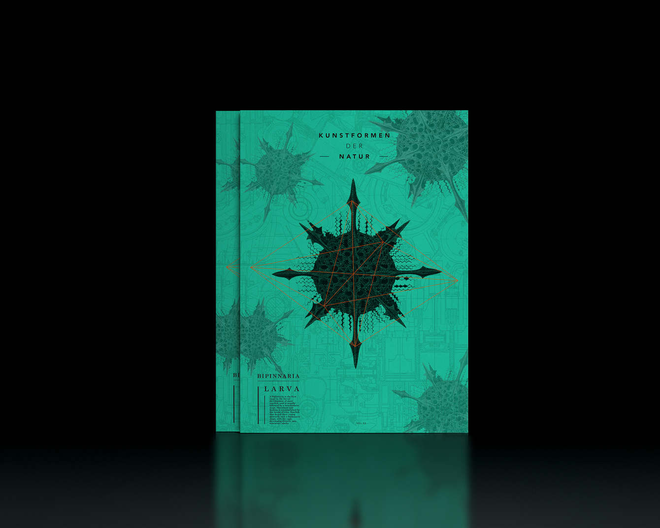 Bipinnaria - LOCOTUS