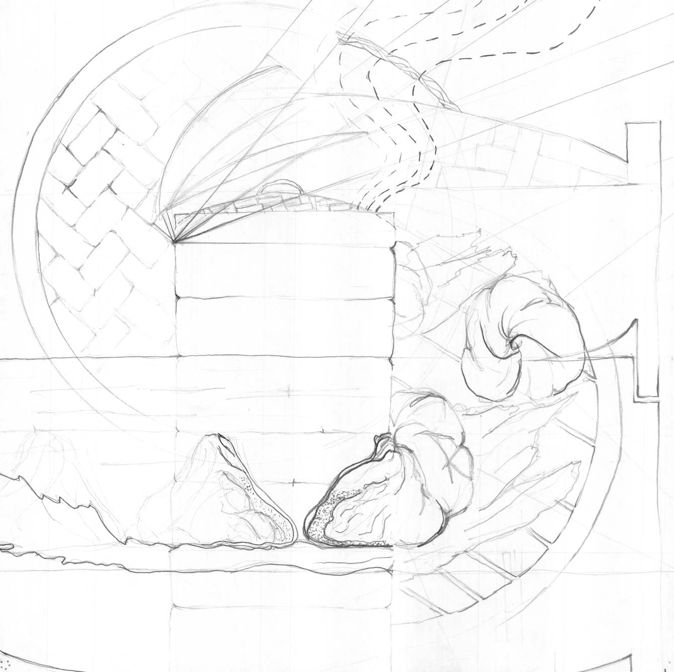 Drawings - Catherine Shih