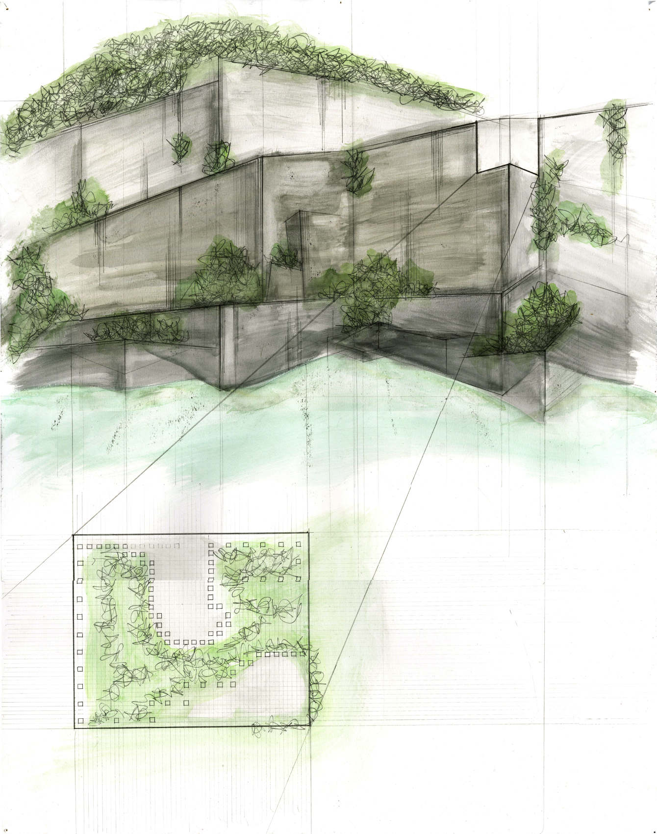 Drawings - Catherine Shih