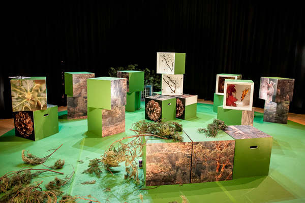 Pine Tree, Poggle and Me - Sophie Stage Design