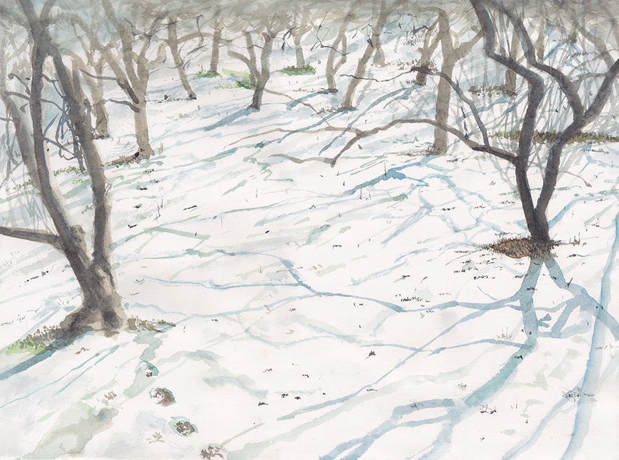 Snow Shadow - Chemin Hsiao