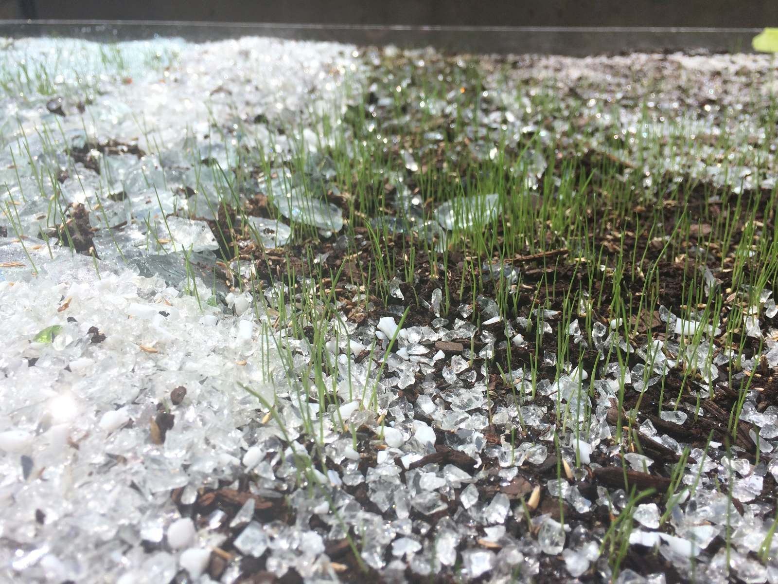 Glass Soil: designing for the lifecycle of a secondary raw material ...