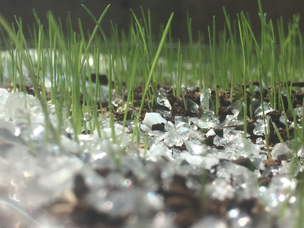 Glass Soil: designing for the lifecycle of a secondary raw material ...