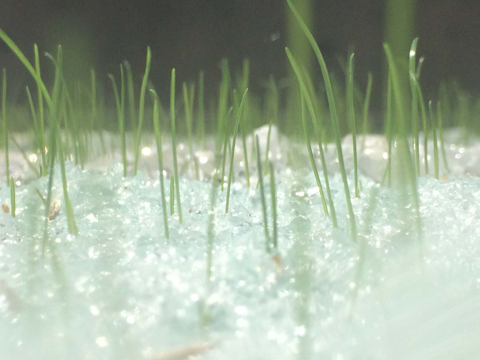 Glass Soil: designing for the lifecycle of a secondary raw material ...