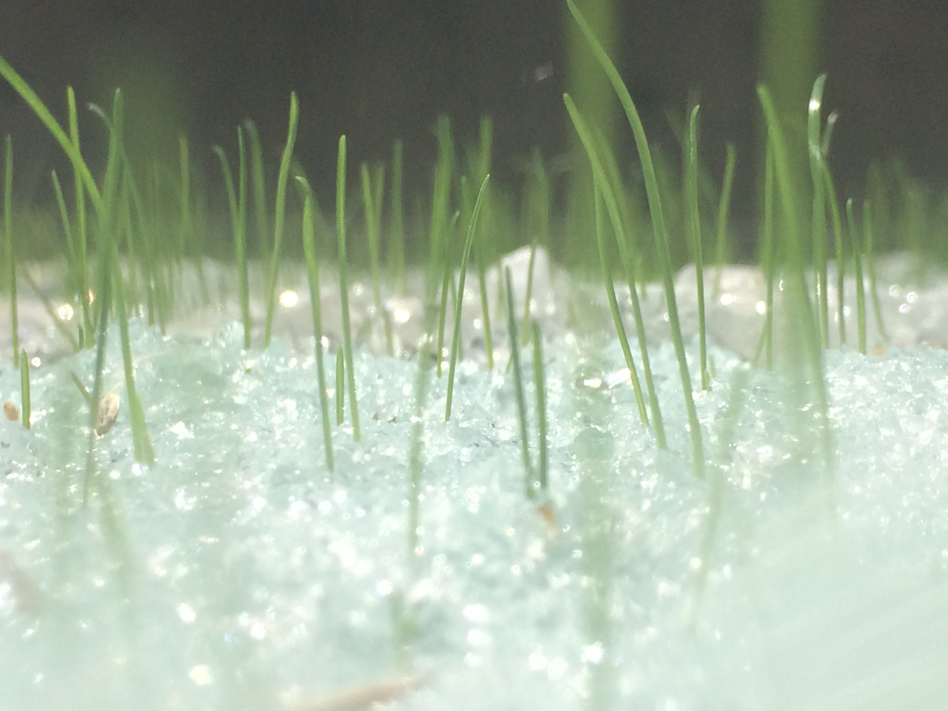 Glass Soil: designing for the lifecycle of a secondary raw material ...