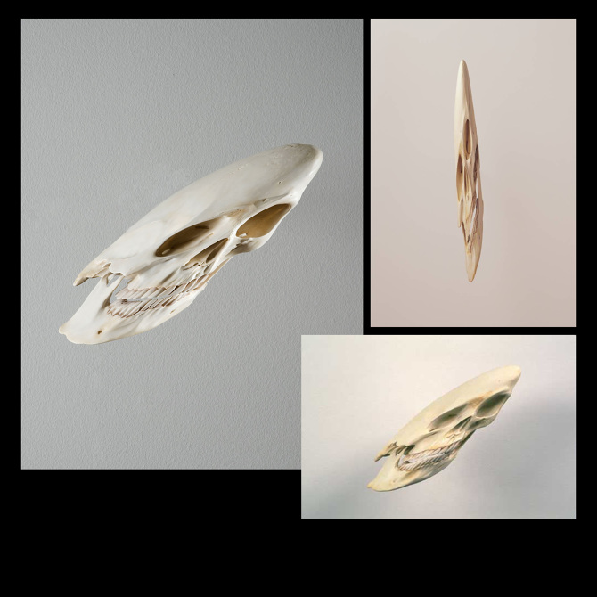 artist presentation // robert lazzarini - Kathleen Baird