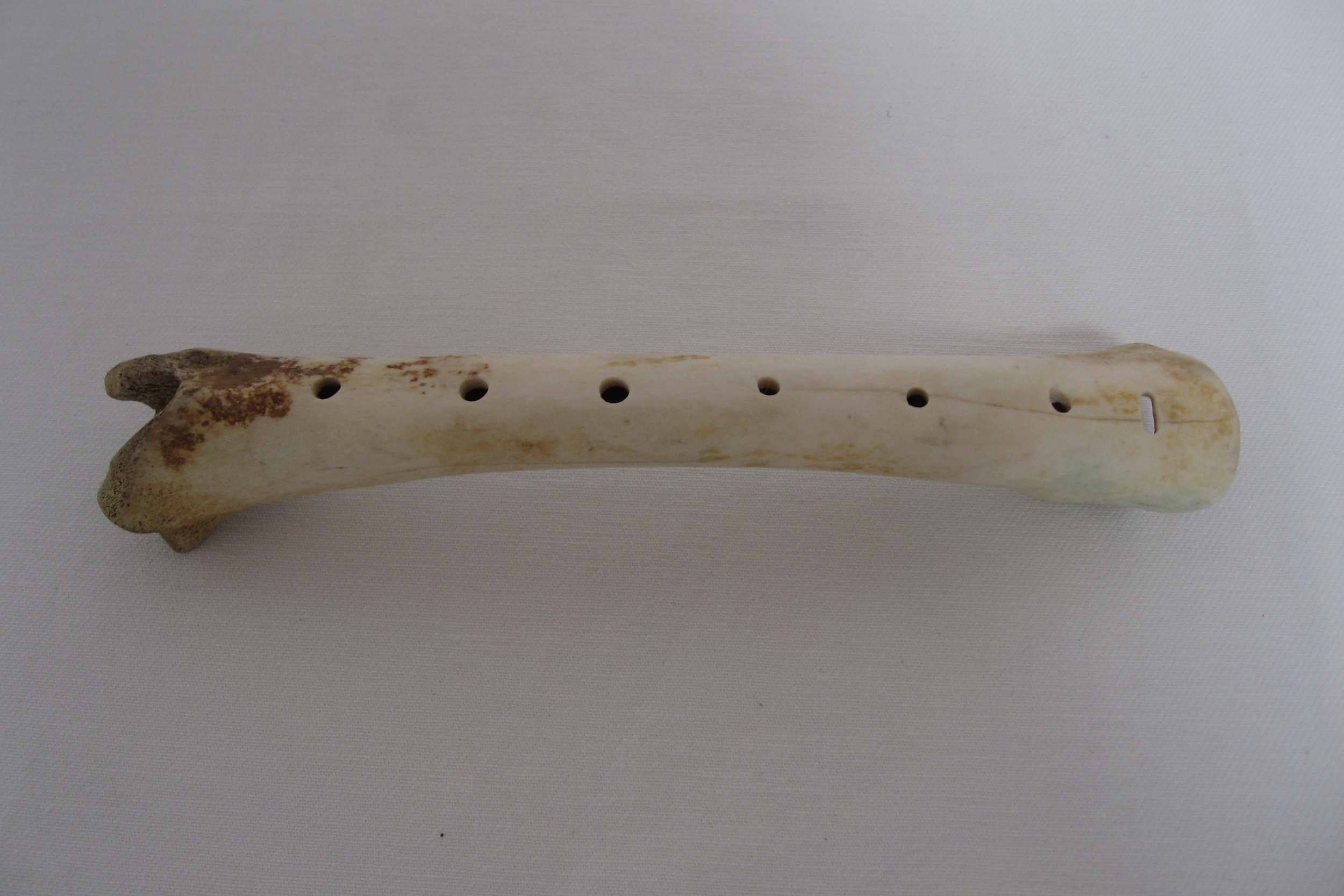 BONE FLUTE - allisonesmith