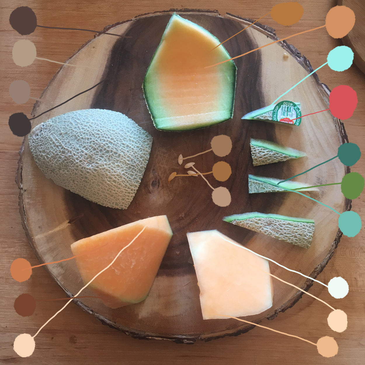 30 Giant Steps - Gabo Behrens