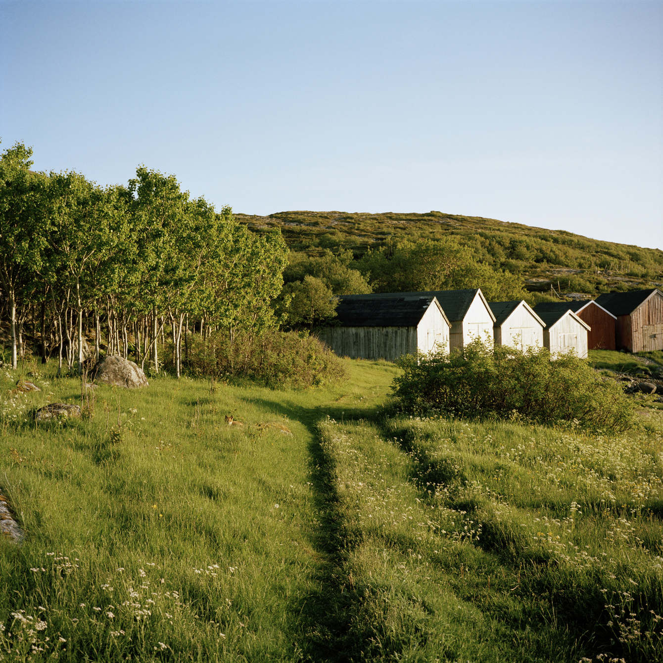 Images from the Norwegian Countryside - Photographer Knut Egil Wang