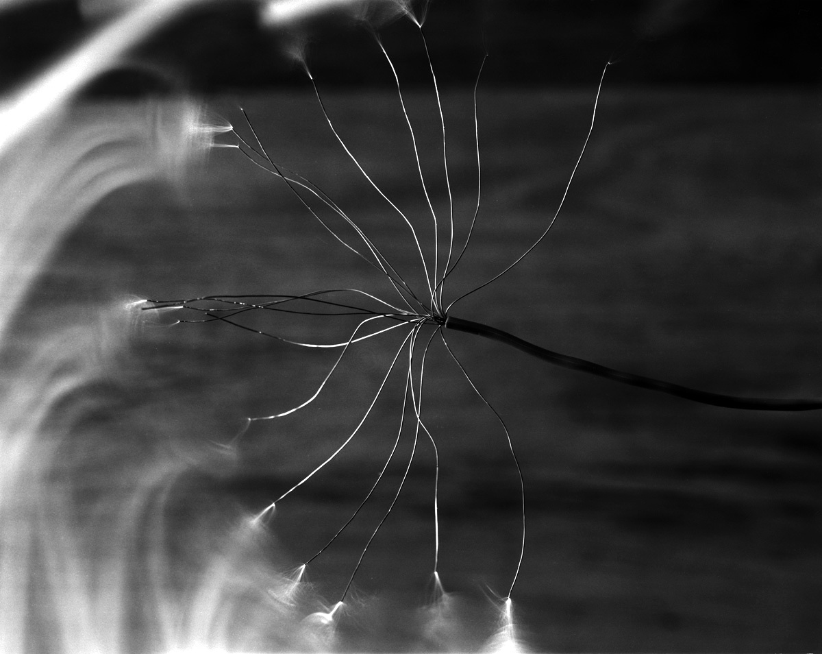 Electricity - davidgoldes.com