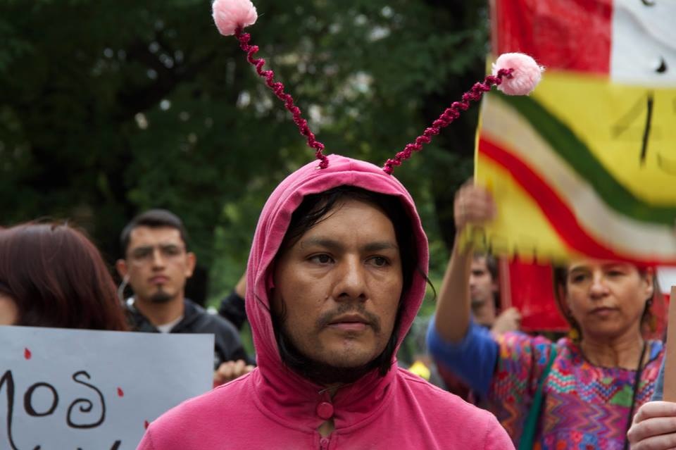 El Chapulín Rosado - accionesxayotzinapa