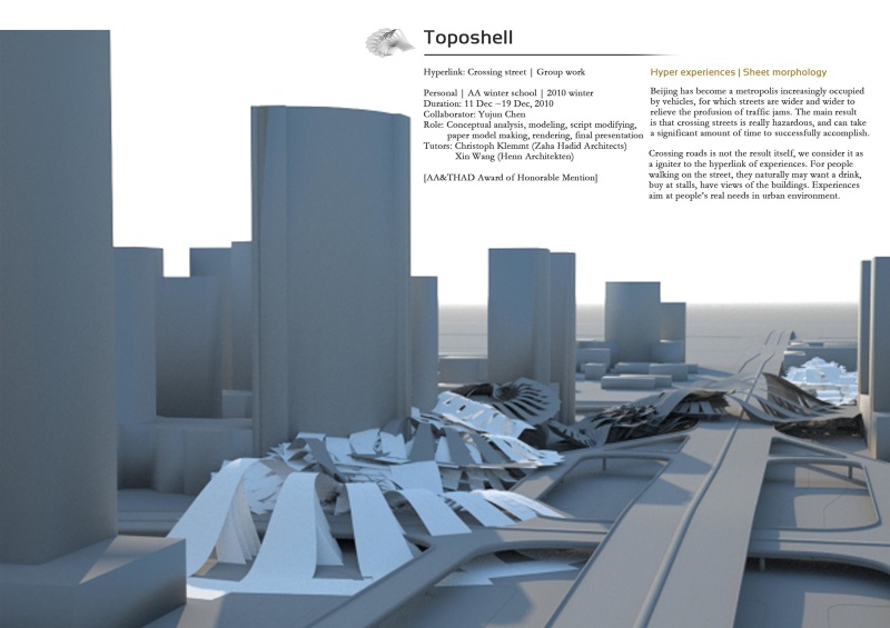 Toposhell - Selected Works of Mengran Li