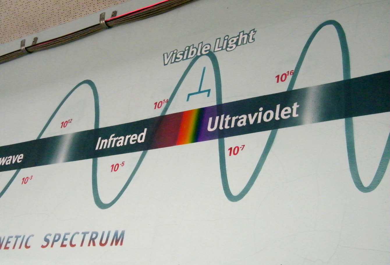 Physics Mural - Amelia Fawcett