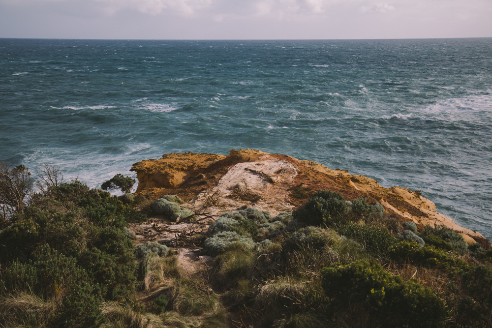 Where the land meets the sea - Isøbel rose
