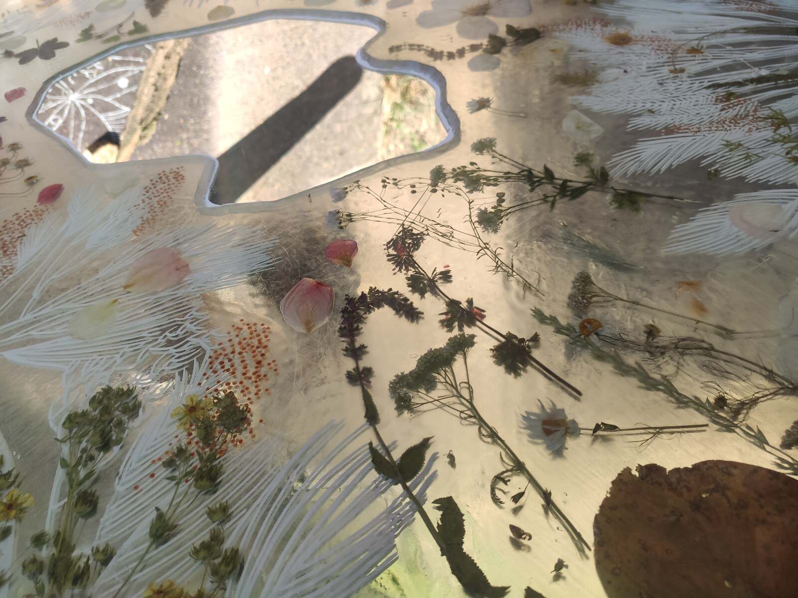 Mycelium Mirror - Zsuzsa Bakonyi