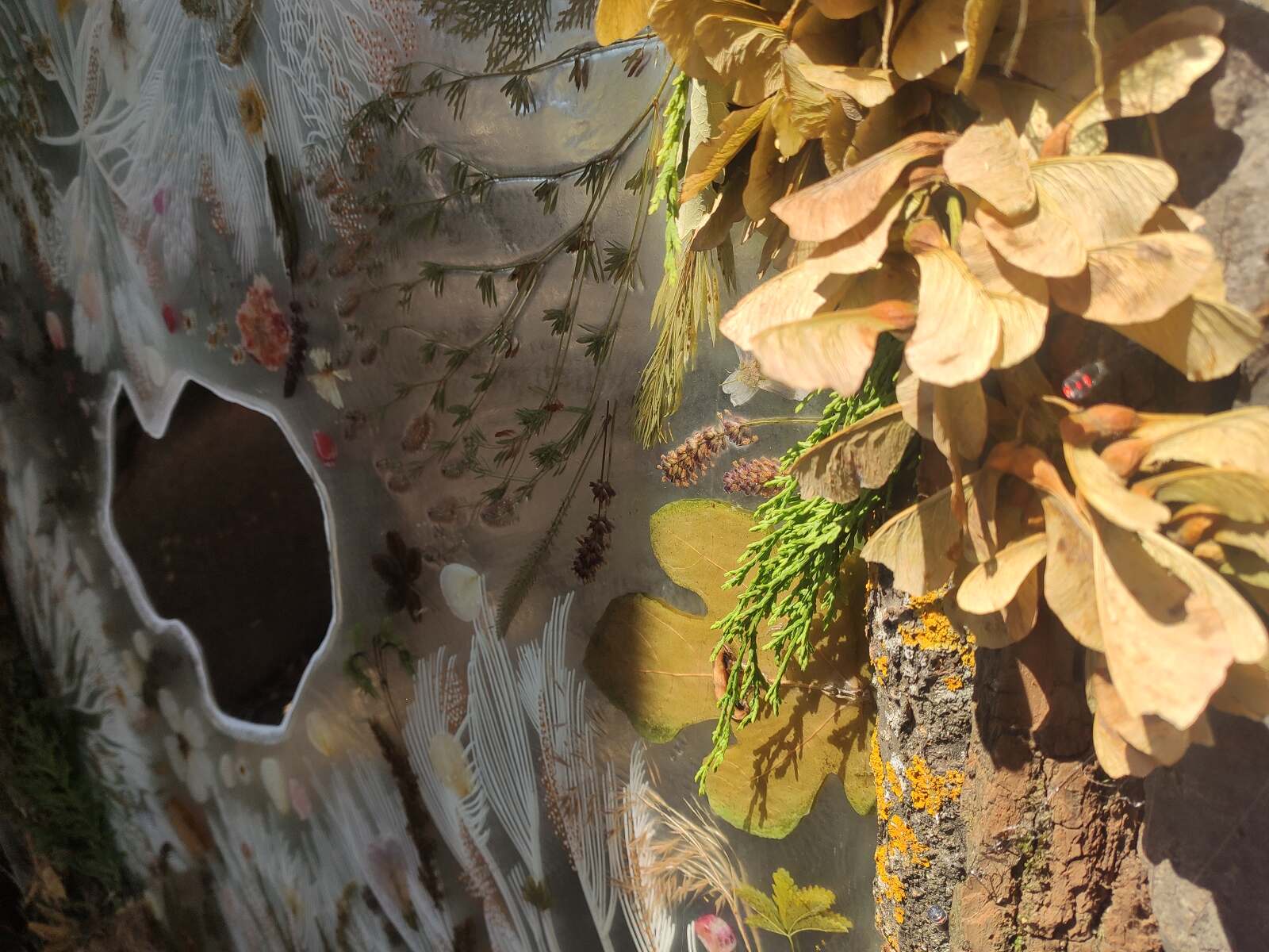 Mycelium Mirror - Zsuzsa Bakonyi