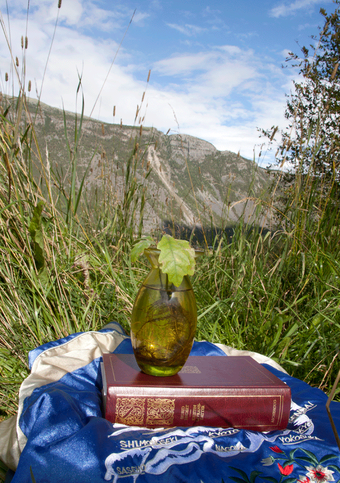 Högläsning för Sels första ek/Reading aloud for the first oak in Sel ...