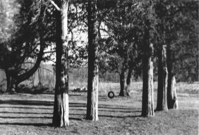 Early Film Photography - Emily Brouwer