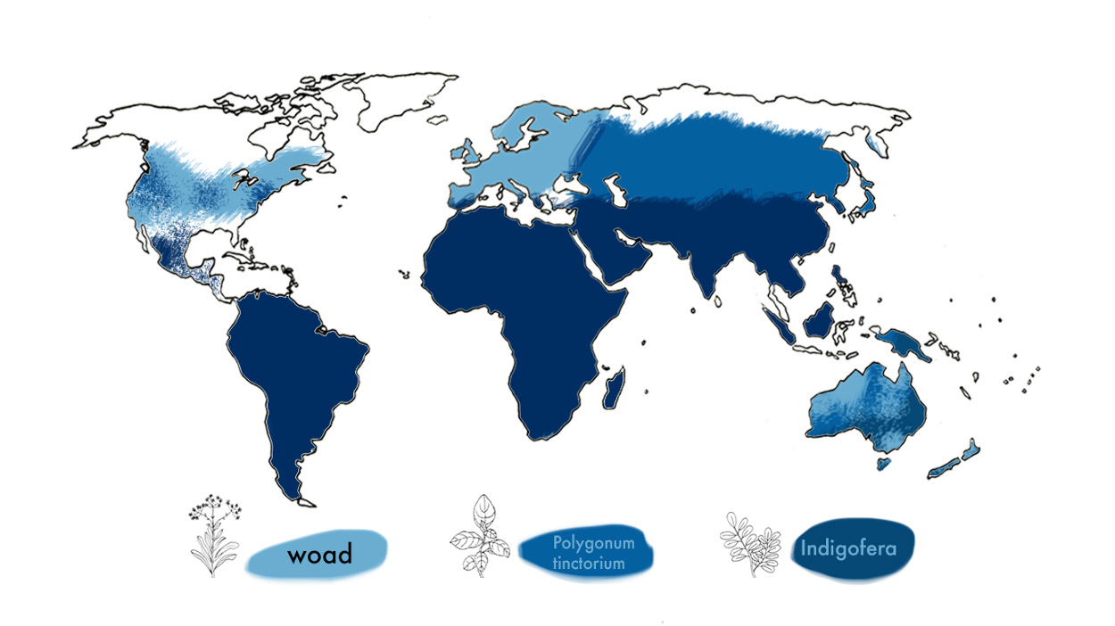 Indigo Shade Map @the Met - rosafulgarden.com