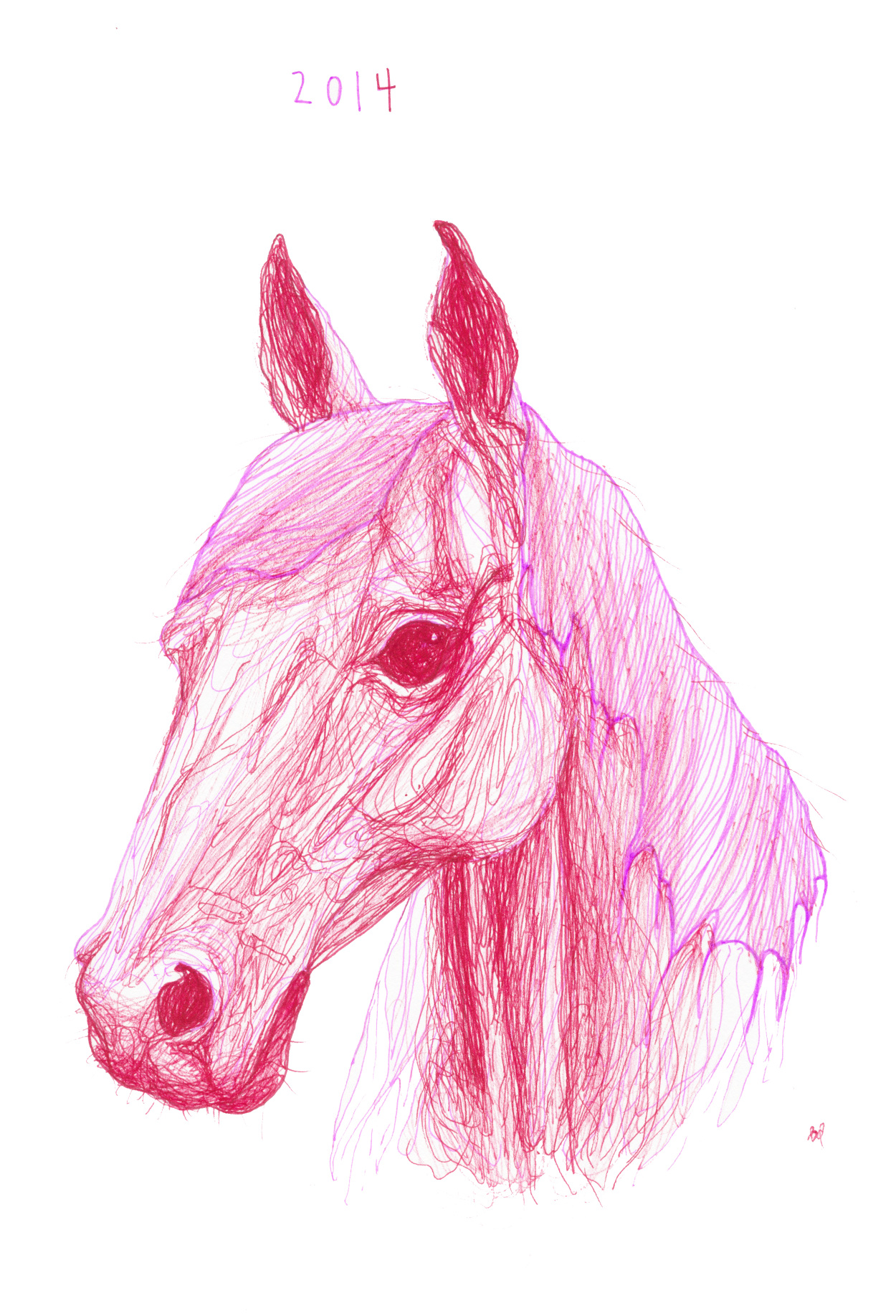 year of the horse - Bonnie Durham