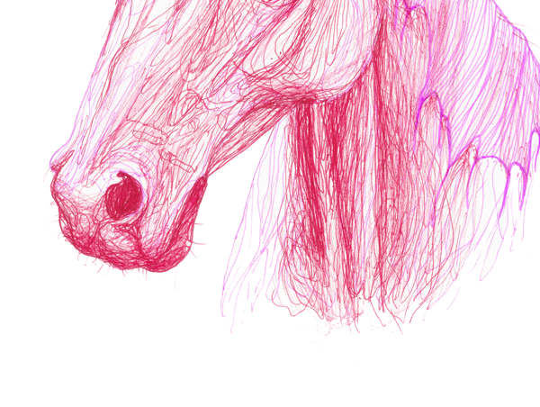 year of the horse - Bonnie Durham