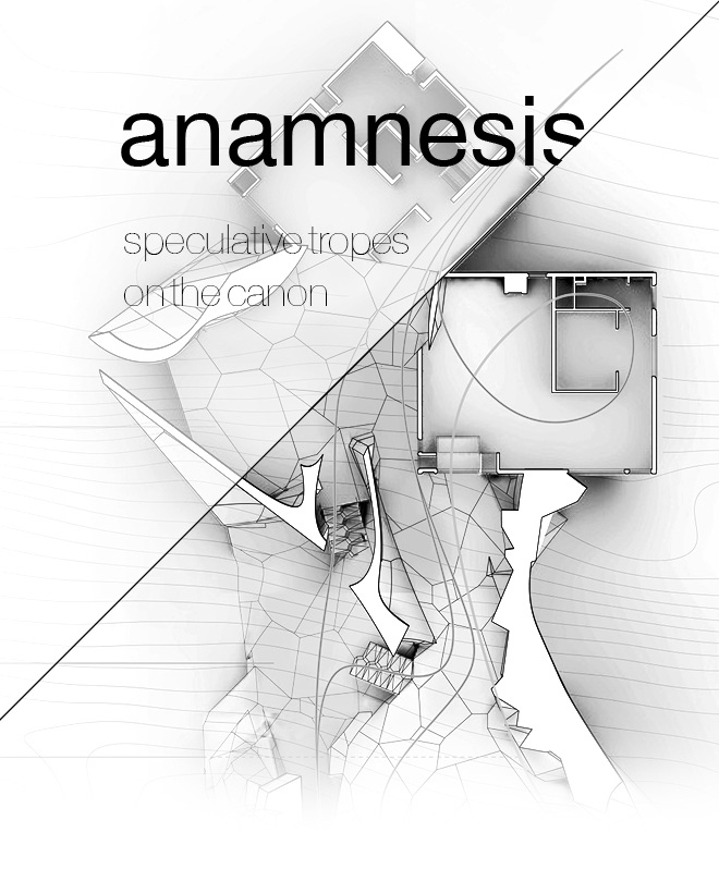About Anamnesis - anamnesis