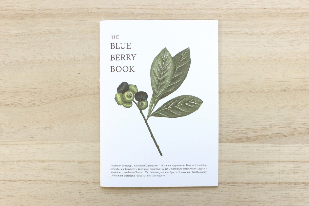 THE BLUEBERRY BOOK - 이소영 Soyoung Lee