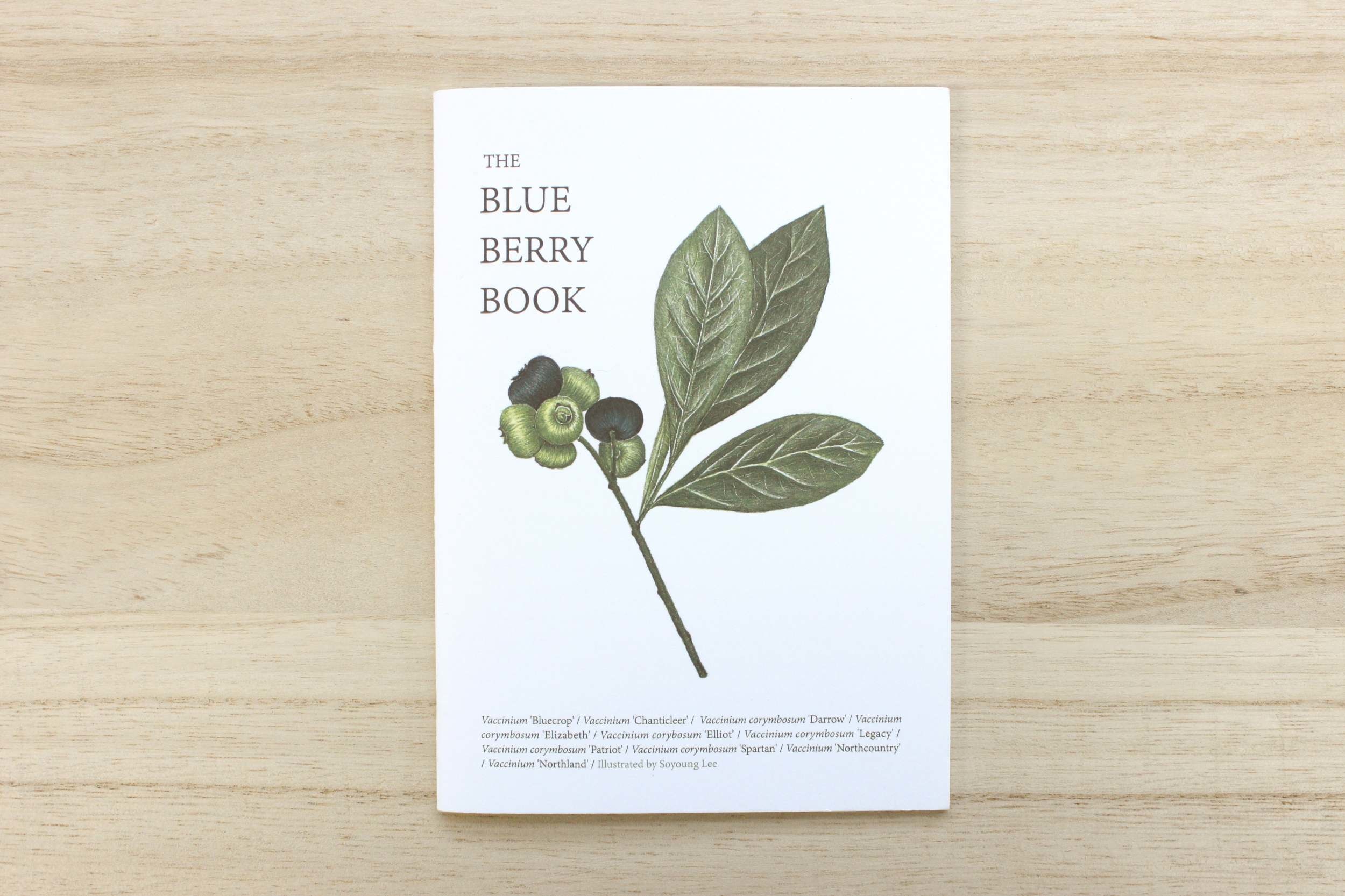 THE BLUEBERRY BOOK - 이소영 Soyoung Lee