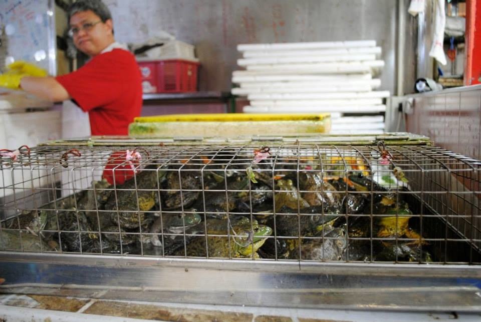 Singapore - vividmemories