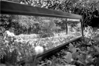 Amers - Camille Boisaubert