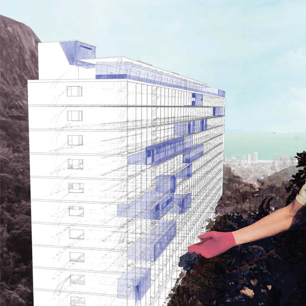 Diplôme - Léa Matray