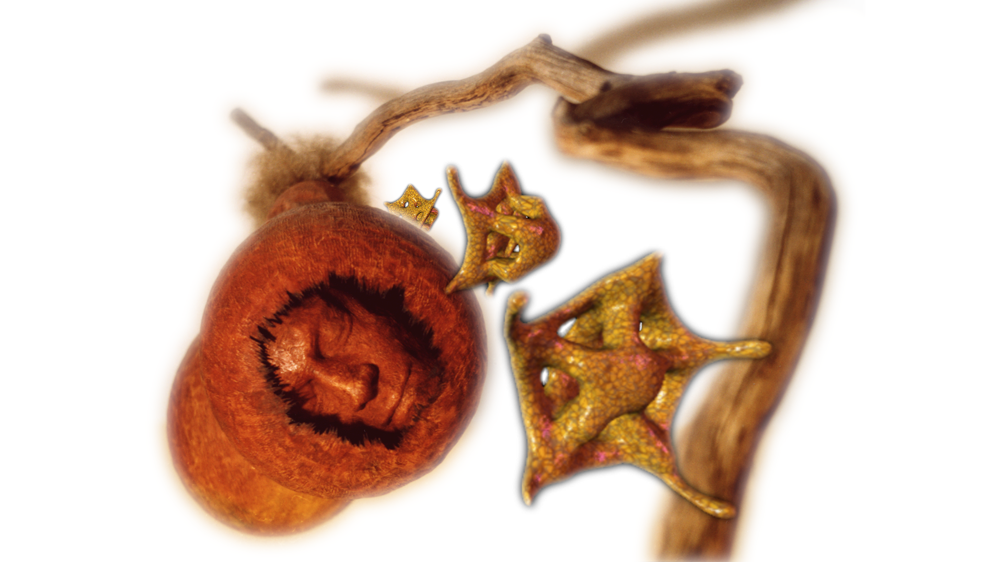 dingir (installation 1999-2001) - _ID_