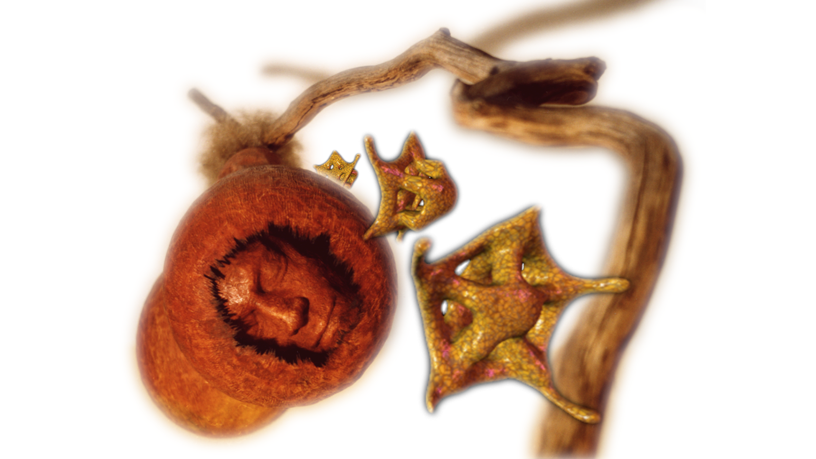 dingir (installation 1999-2001) - _ID_