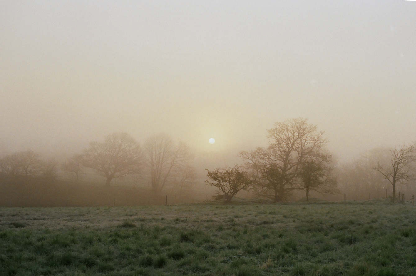Summerless - Anna Vladi