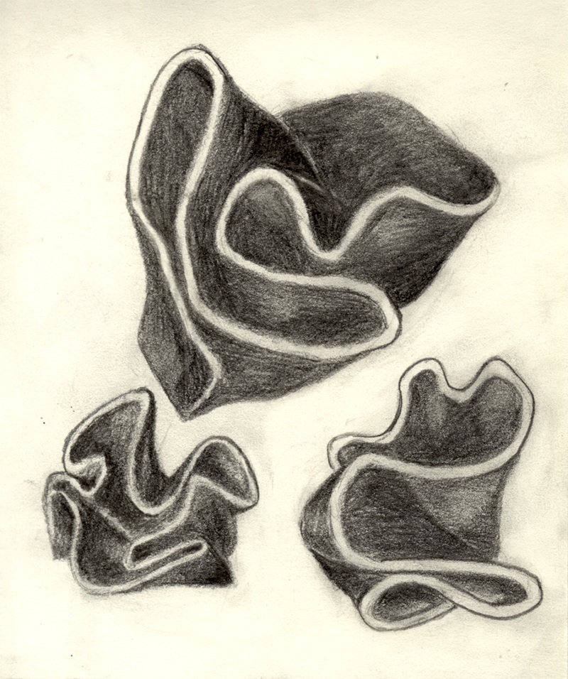 Illustration Basics - BTK Illustration