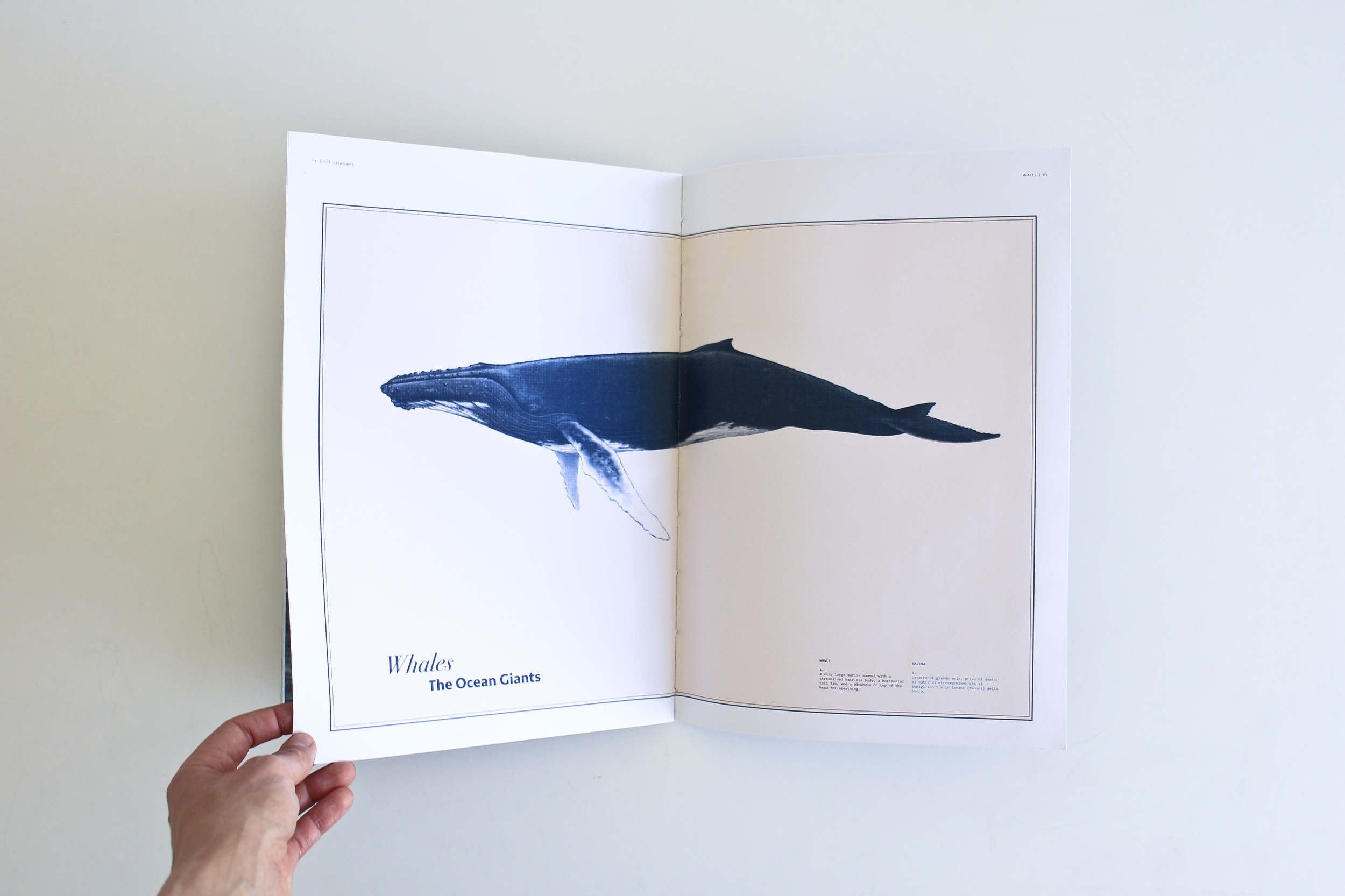 Buon Vento - margherita buzzi