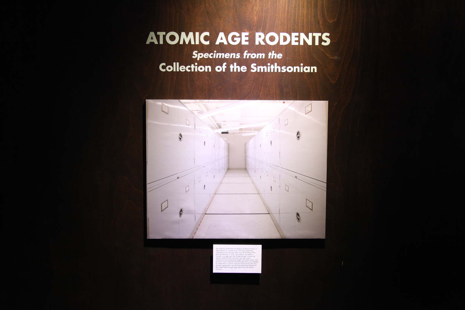 Atomic Age Rodents - Center for PostNatural History