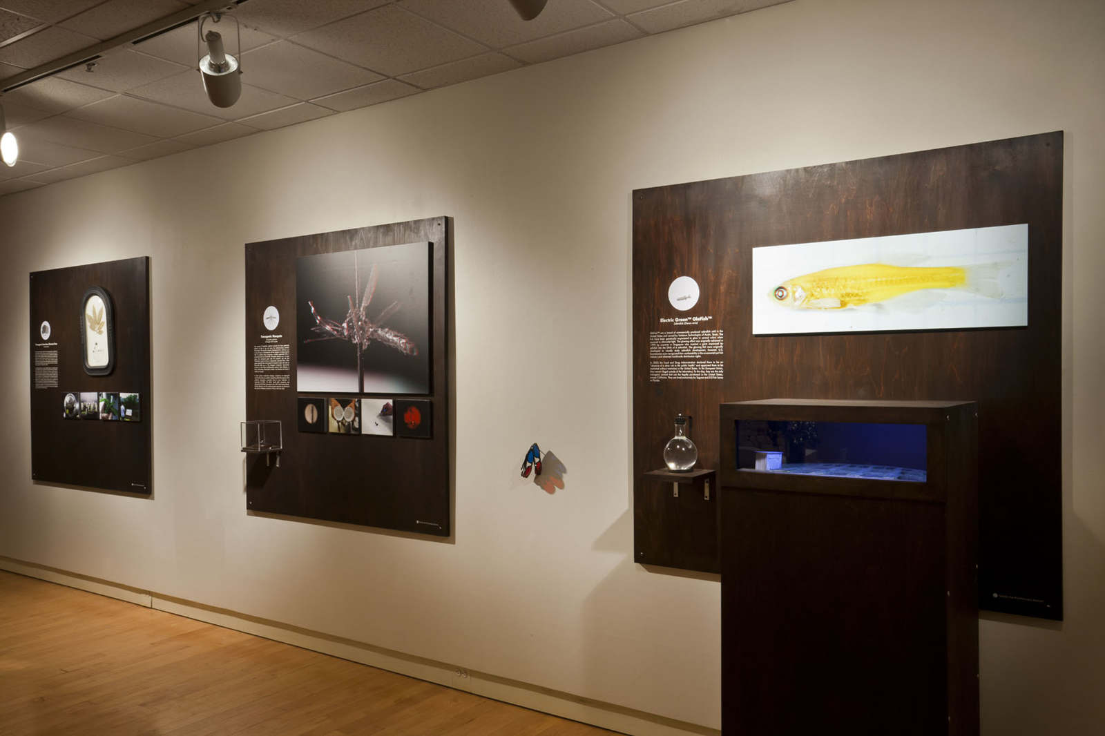 Out of the Lab, Into the Wild - Center for PostNatural History