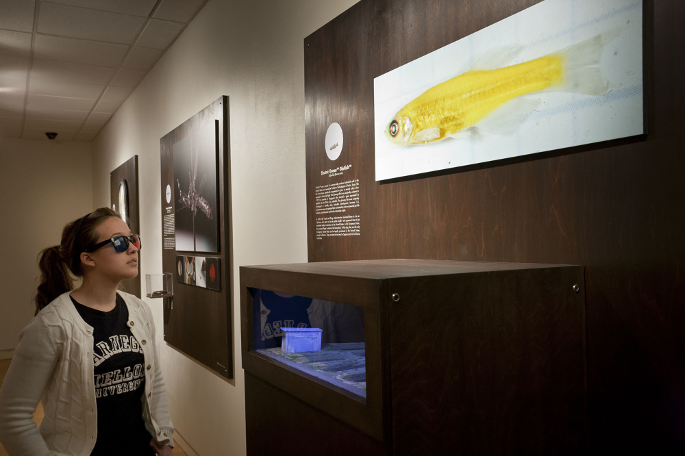 Out of the Lab, Into the Wild - Center for PostNatural History