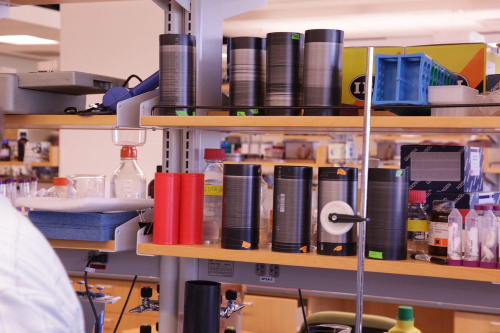 Biosteel™ Goat - Center for PostNatural History