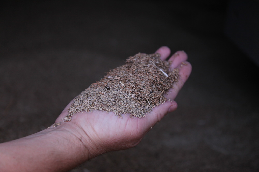 Ernst Conservation Seed - Center for PostNatural History