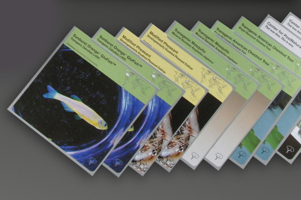 "Wildlife" Cards - Center for PostNatural History