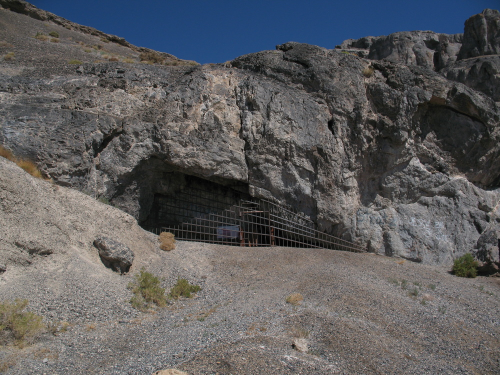 Preface to a Genealogy of the Postnatural - Center for PostNatural History
