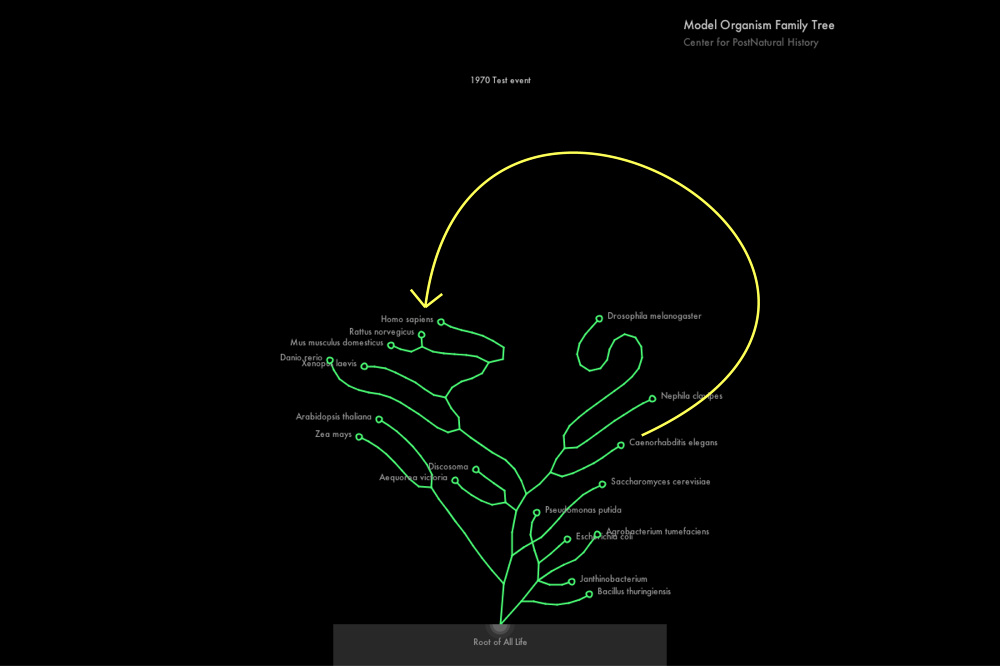 The PostNatural Tree of Life - Center for PostNatural History